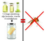 3 bezopasna načina da se rešite insekata u kući - Uspešna žena