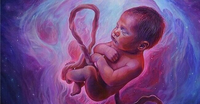 Ćelije iz fetusa u mozgu majke ostaju 18 godina nakon porođaja ...